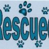 10in x 3in Who Rescued Who Bumper Sticker Cat Dog Car Window Stickers ...