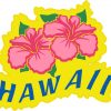 5in x 4.5in Flower Hawaii Bumper Sticker Car Vinyl Decal Truck Stickers ...