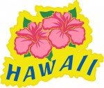 5in x 4.5in Flower Hawaii Bumper Sticker Car Vinyl Decal Truck Stickers ...