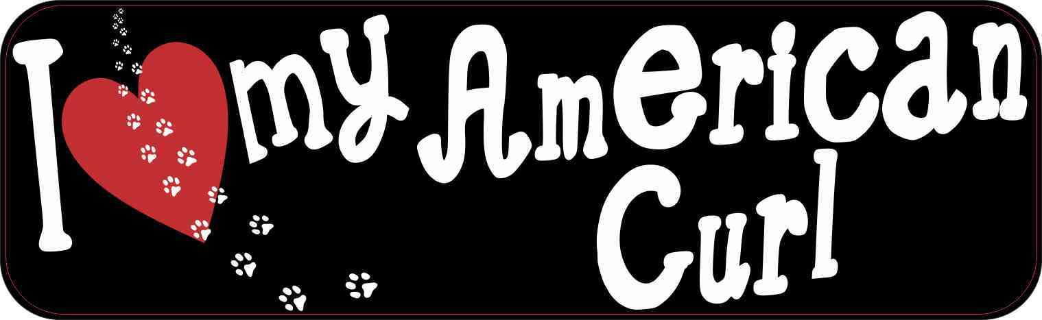 10in x 3in I Love My American Curl Bumper Sticker Vinyl Window Pet Decal