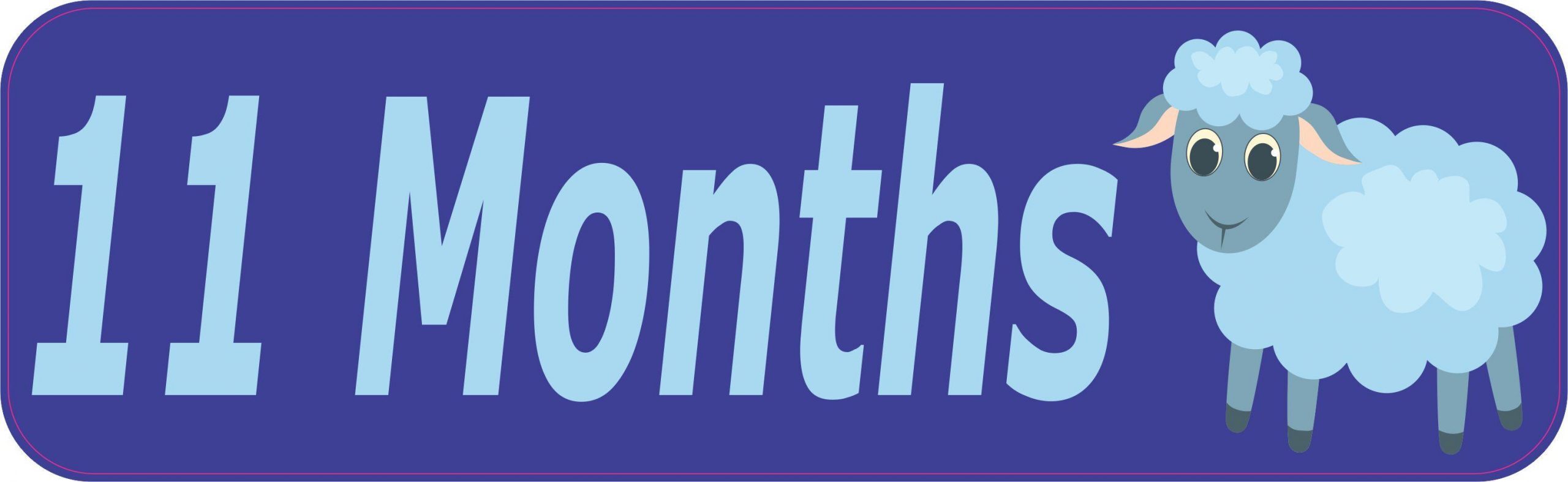 10in x 3in 10 Month Magnet Boy Door Magnetic Sign Magnets Signs ...