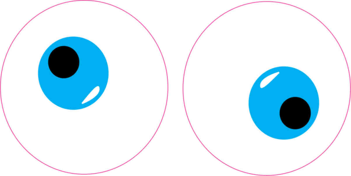 4in x 2in Blue Goofy Eyes Funny Sticker Vinyl Sticker Cup Vehicle Decal ...