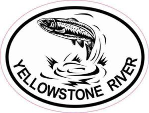 4inx3in Oval Trout Yellowstone River Sticker Car Luggage Fishing ...