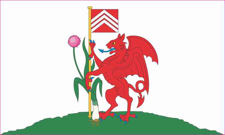 5in x 3in Cardiff Flag Sticker – StickerTalk®