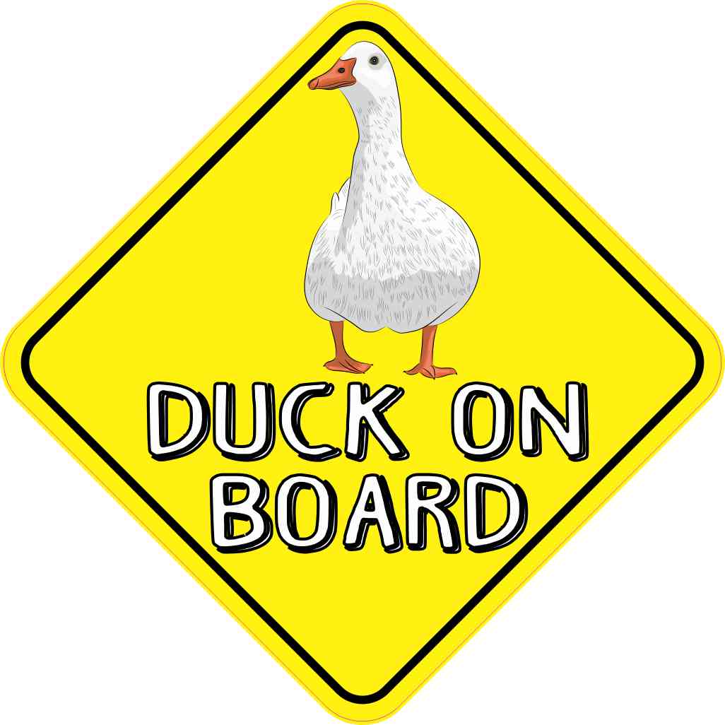 5in x 5in Duck On Board Magnet – StickerTalk®