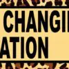 10in x 3in Leopard Print Diaper Changing Station Sticker