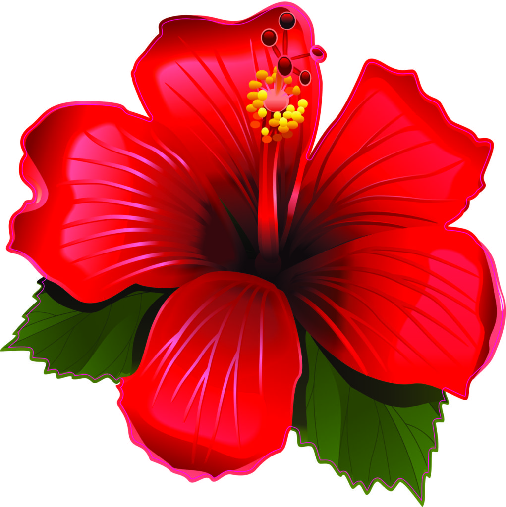 StickerTalk Do Not Touch the Plants Vinyl Stickers, 1 sheet of 2 ...