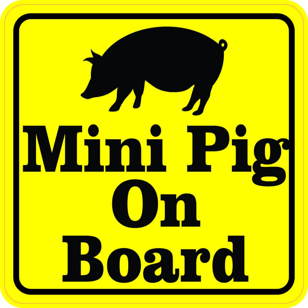 StickerTalk Mini Pig on Board Magnet, 4 inches x 4 inches – StickerTalk®