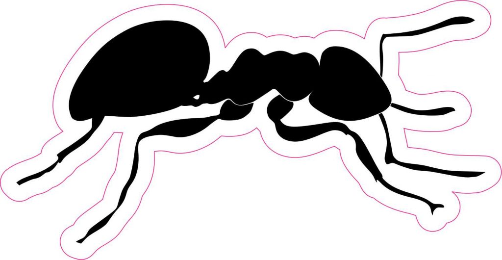 StickerTalk Ant Vinyl Sticker, 5 inches x 2.5 inches – StickerTalk®