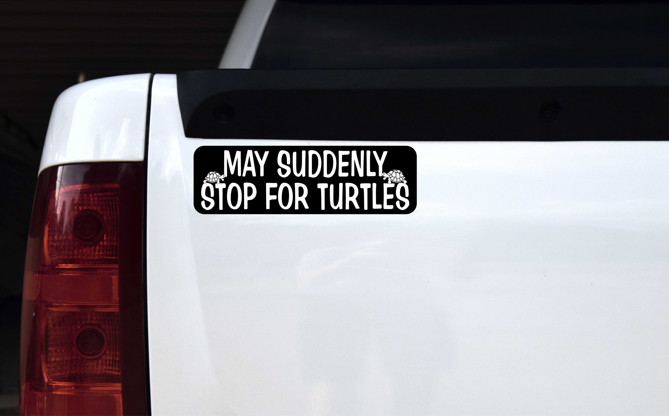 StickerTalk May Suddenly Stop for Turtles Vinyl Sticker, 10 inches x 3 ...