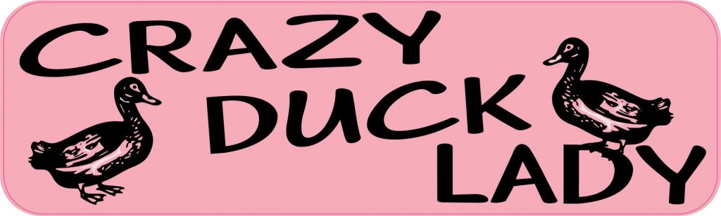 StickerTalk Crazy Duck Lady Vinyl Sticker, 10 inches x 3 inches ...