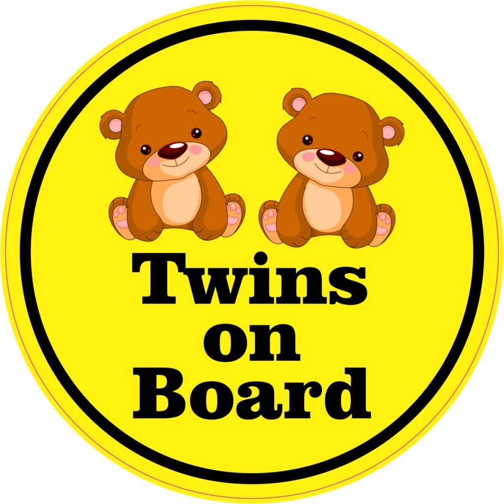 StickerTalk Girl Twins on Board Vinyl Sticker, 5 inches x 5 inches ...