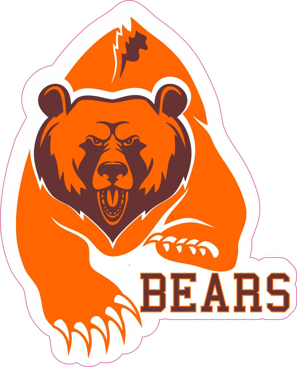 Bear Mascot College