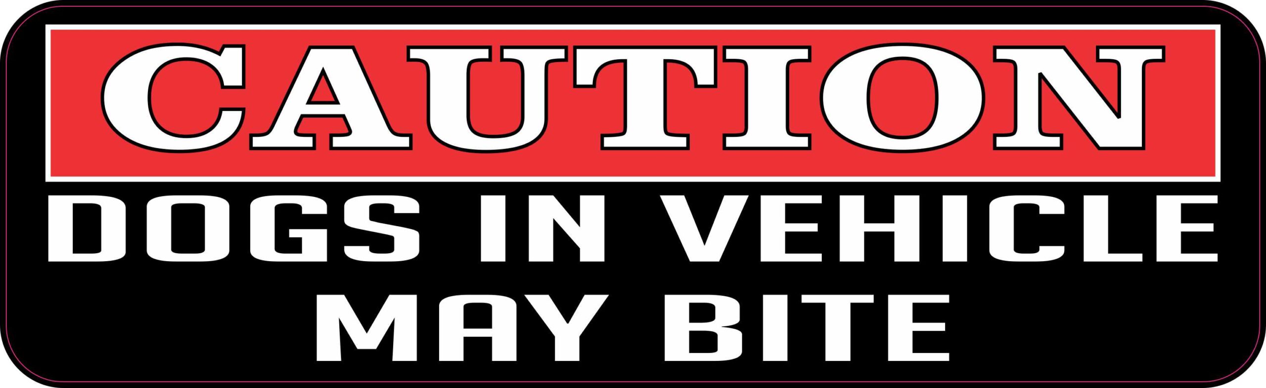 StickerTalk Dogs in Vehicle May Bite Magnet, 10 inches x 3 inches