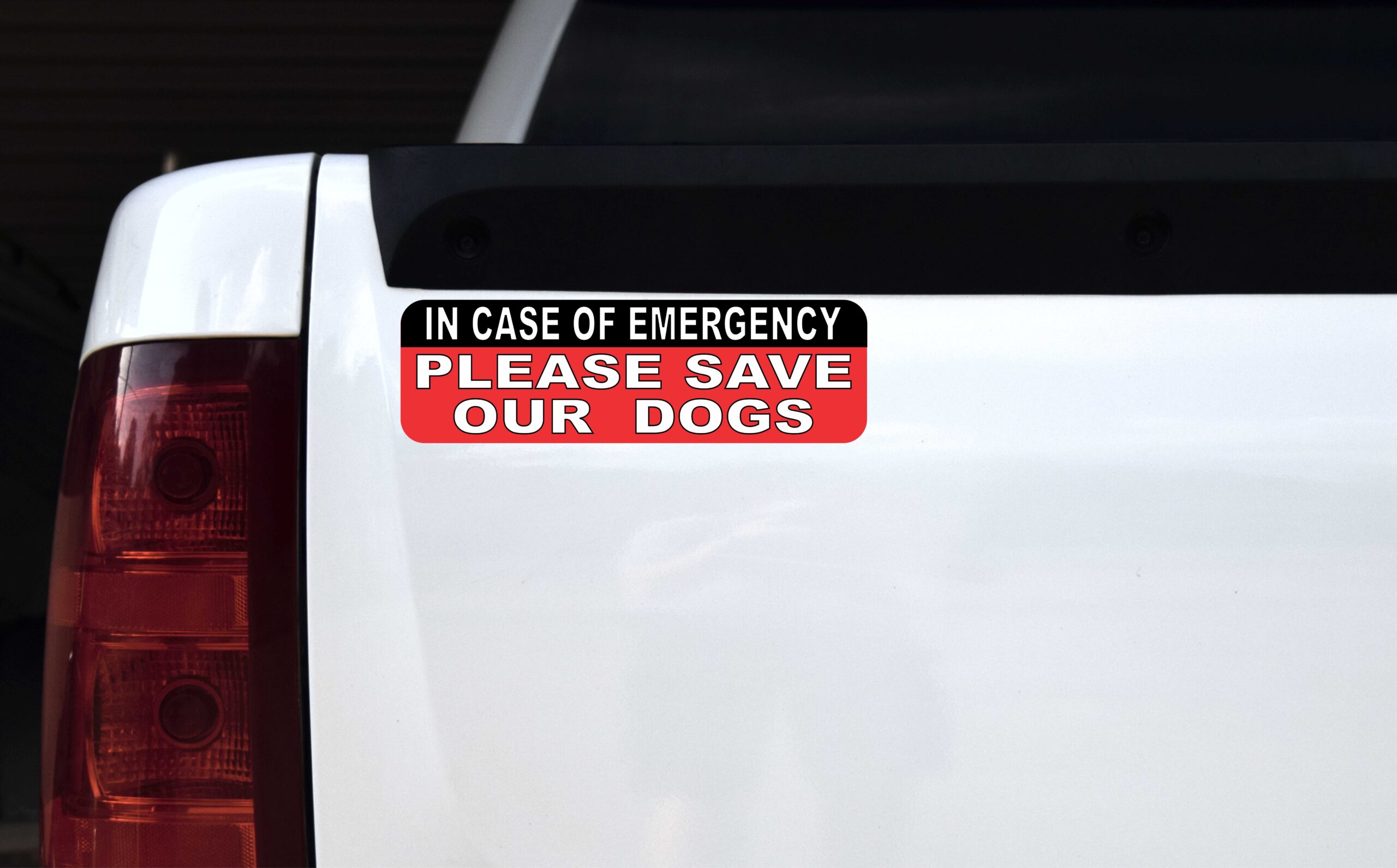 StickerTalk In Case of Emergency Save Our Dogs Vinyl Sticker, 10 inches ...