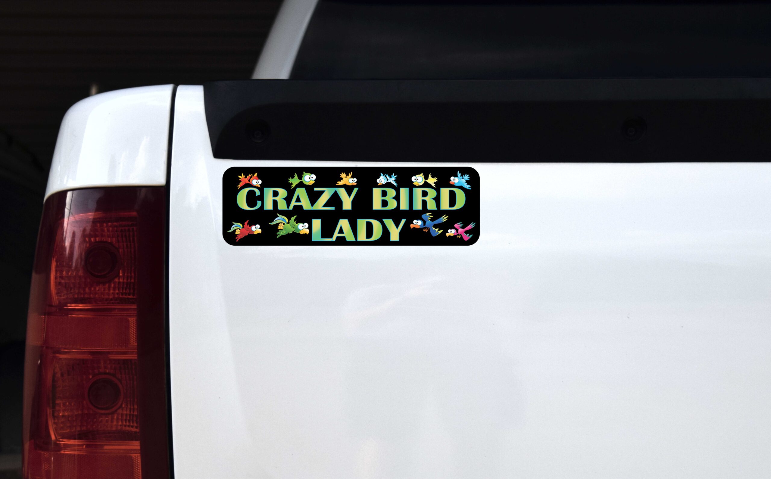 StickerTalk Crazy Bird Lady Vinyl Sticker, 10 inches x 3 inches ...