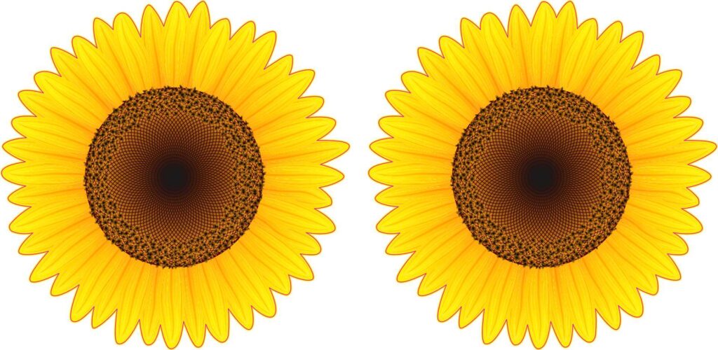 StickerTalk Sunflower Vinyl Stickers, 1 sheet of 2 stickers, 3 inches x ...