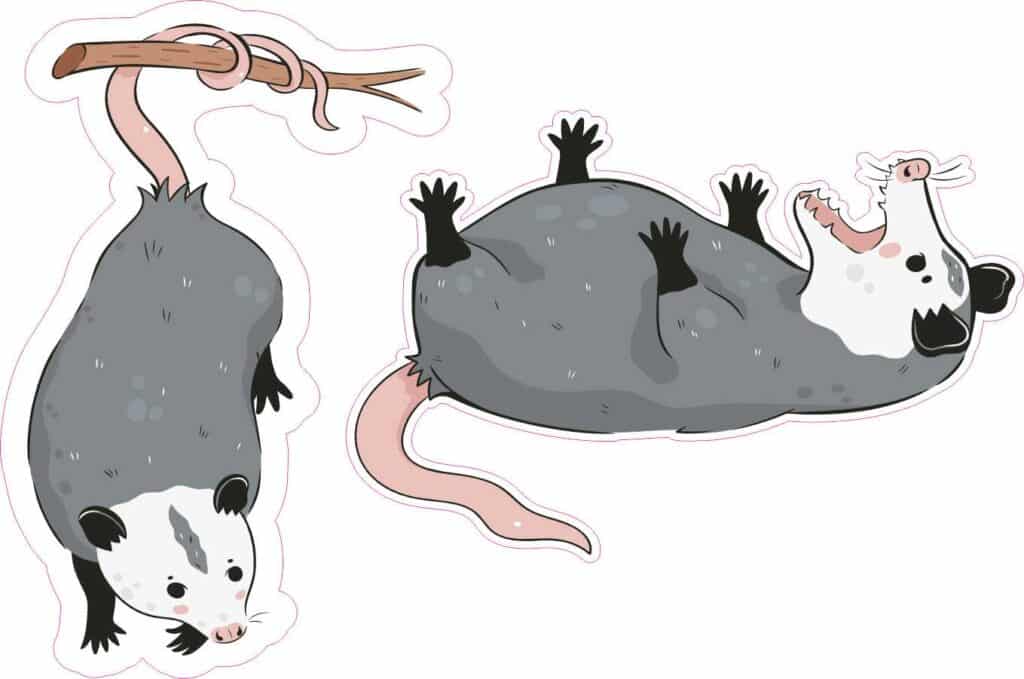 StickerTalk Opossum Vinyl Stickers, 3 inches x 2 inches – StickerTalk®