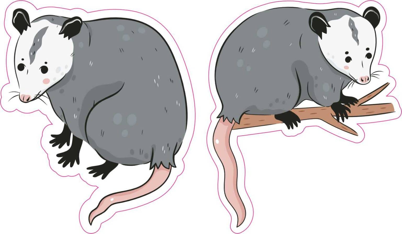 StickerTalk Opossum Vinyl Stickers, 2.5 inches x 3 inches – StickerTalk®
