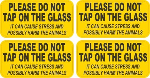 StickerTalk Please Do Not Tap On The Glass Stickers, 3 inches x 1.5 ...